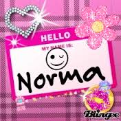 Writing a Fiction Novel - The Lion's Den - Norma Cook